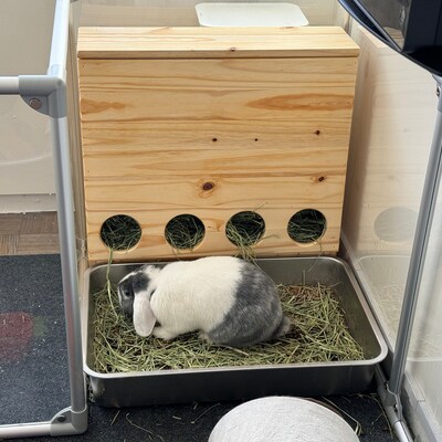 Rabbit Hay Feeder, Litter Box & Mesh Grate, Litter Pan Hay Feeding ...