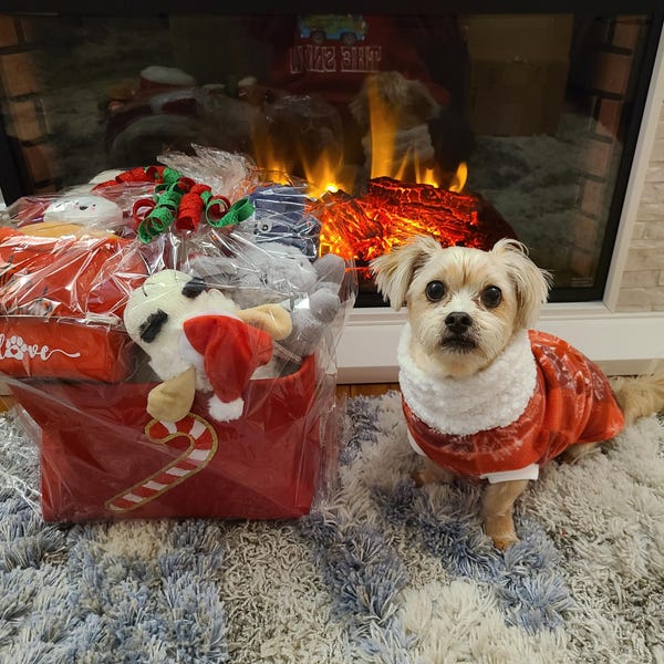 Custom Dog/cat Gift Baskets for Any and All Occasions! - Etsy