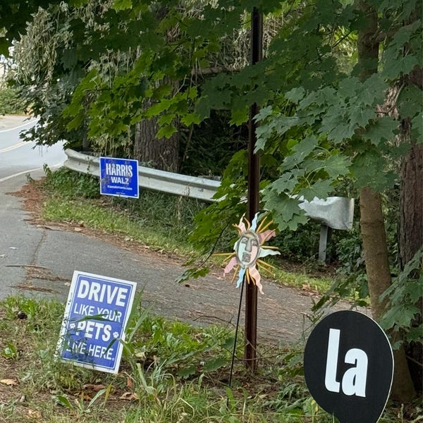 Custom Life Size Coroplast Cutouts of Any Photograph, Personalized Full ...