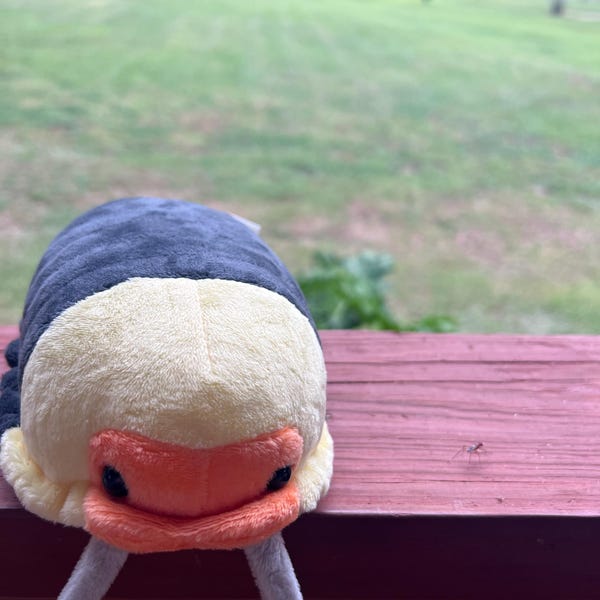Rubber Ducky Isopod Plushie - Etsy