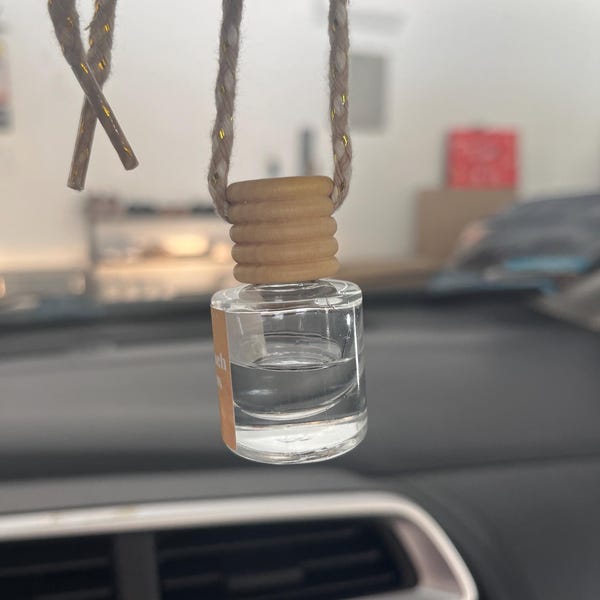 Citrus Car Diffuser Hanging Car Freshener Oil Diffuser for Car ...