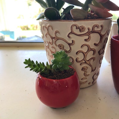 Red Small Plant Pot S Size Set of 3 Ceramic Planter for Succulent ...