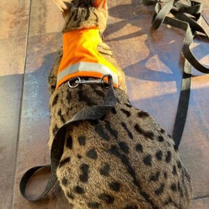 Safetykatz Walking Jacket Red Custom Made Cat Reversible - Etsy