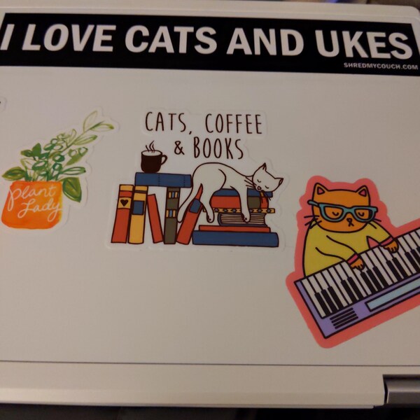 Cats, Coffee & Books- 3" Vinyl Sticker- Laptop Decal - Water Bottle ...