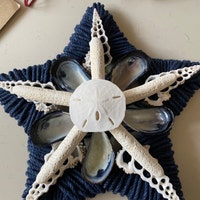 Strawberry Top Seashells clanculus Puniceus Craft Shells 1/23/4 5 ...