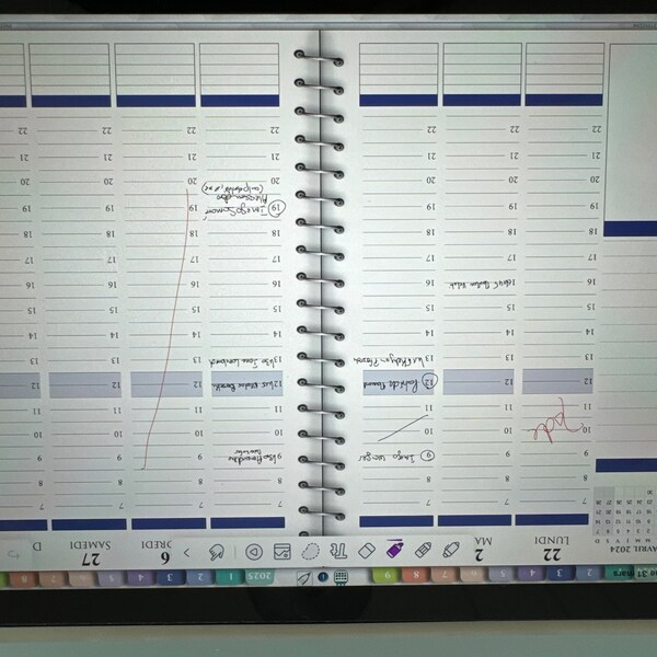 Rainbow Digital Diary Year Planner for 2025 2026 2027 Daily Goodnotes ...