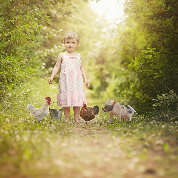 Digital Background Leafy Path - Etsy