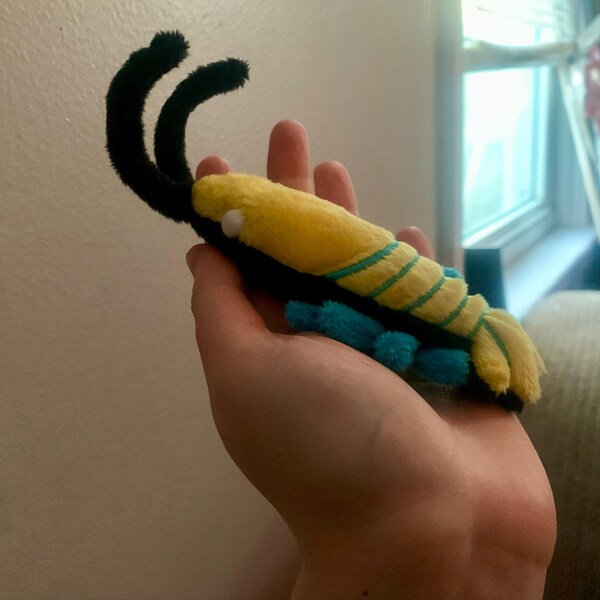 Adorable Colorful Shrimp Ocean Bug Insect Decapoda Crustacean Minky ...