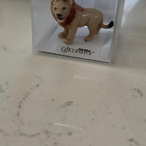 Little Critterz Frog Leopard Green Frog rana Home Decor Reptile ...