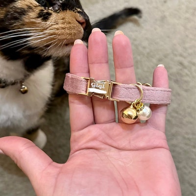 Custom Cat Collar Bell Bow in Blue Corduroy/velvet - Etsy