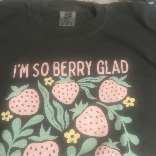 Comfort Colors® Teach Shirt, Cute New Teacher Shirt, Teacher ...