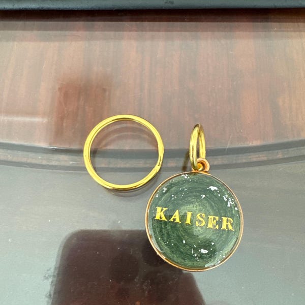 Olive Green Resin Pet ID Tag - Resin, Olive Green, Dog Tag - Etsy