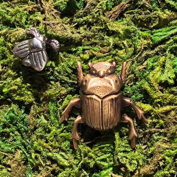Scarab Pin, Insect Pin, Bug Pin, Insect Jewelry, Scarab Jewelry, Scarab ...