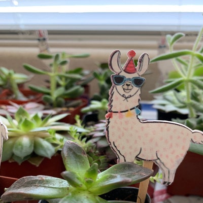 Llama Cupcake Toppers Llama Party Party Animal Llama Party - Etsy