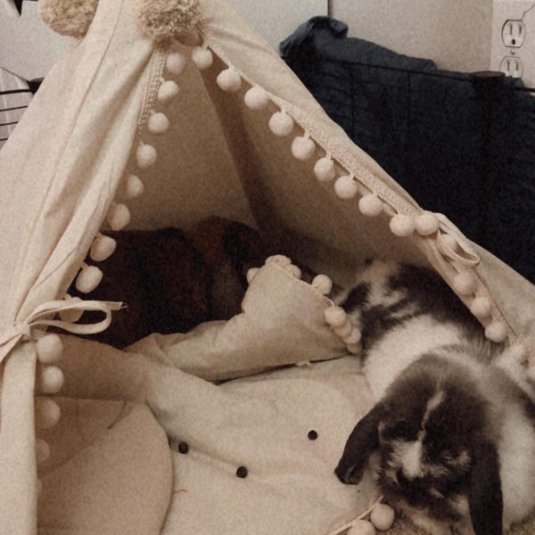 Rabbit Bed, Bunny Bed, Rabbit House, Bunny Teepee, Pet Teepee, Guinea ...