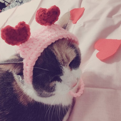 Heart Headband for Cats, Valentine's Day Cat Accessories, Cat Photo ...