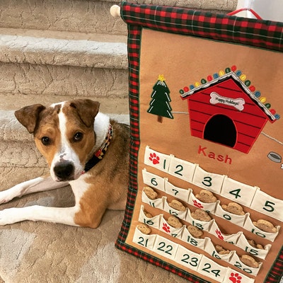 Personalized Dog Advent Calendar Pet Christmas Countdown for Family ...