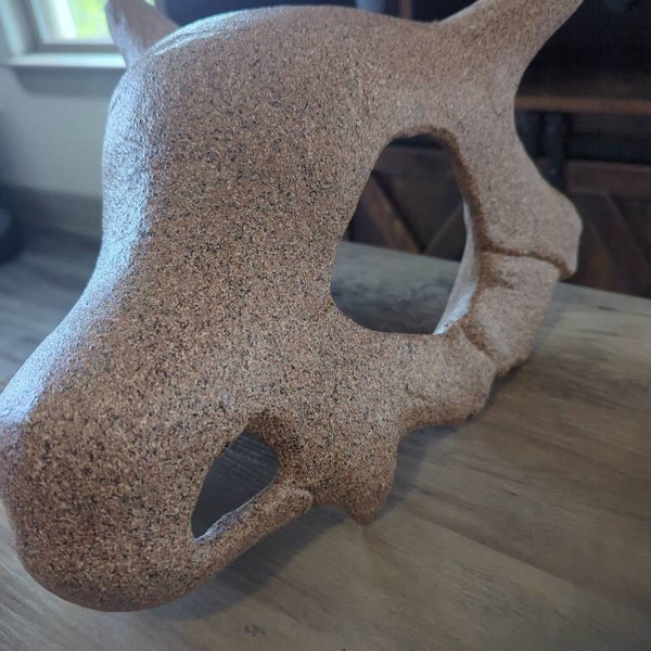 Pokemon Starter Skull Set Blastoise Venusaur Charizard Pokemon Skeleton ...