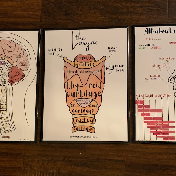 SLP American English IPA International Phonetic Alphabet Paint Swatch ...