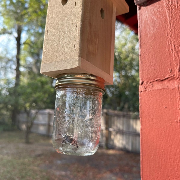 Best Carpenter Bee Trap chalet Style Carpenter Bee Trap wood Boring Bee ...