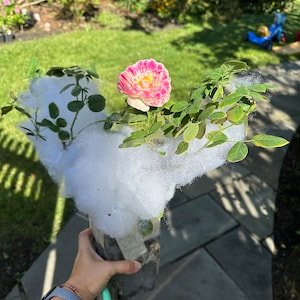 Rose Plant washitsu 和室 ジャパネスクモナムール - Etsy