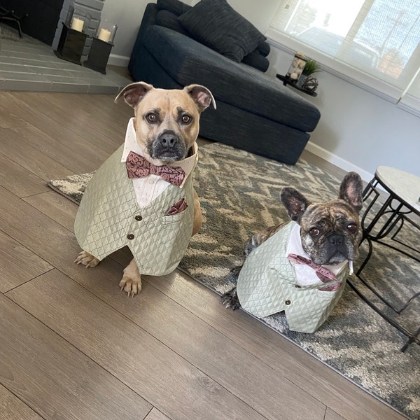 Dog Rugby Shirts. Dog Clothes. Dog Sweatshirts. Dog Outdoor Attire ...