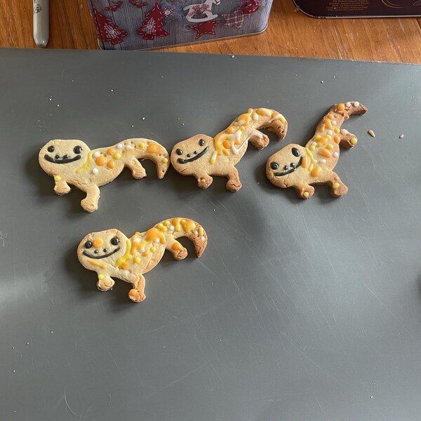 Gecko Cookie Cutter, Leopard Gecko Gifts, Lizards Kids Party Ideas ...