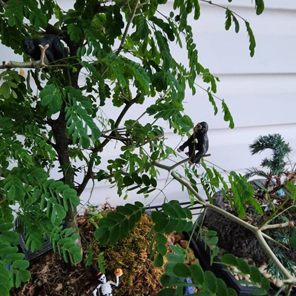 Tiny Mini CHIMP MINIATURE Animal Figurine Chimpanzee Dollhouse Fairy ...