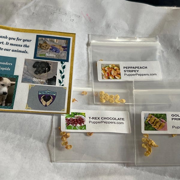 Purple Peach Carolina Reaper Rare Pepper Seeds Premium Packet - Etsy