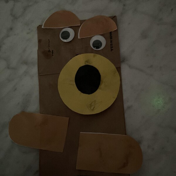 Chicken Unit Study Bundle, Chicken Life Cycle, Nature Study, Homeschool ...