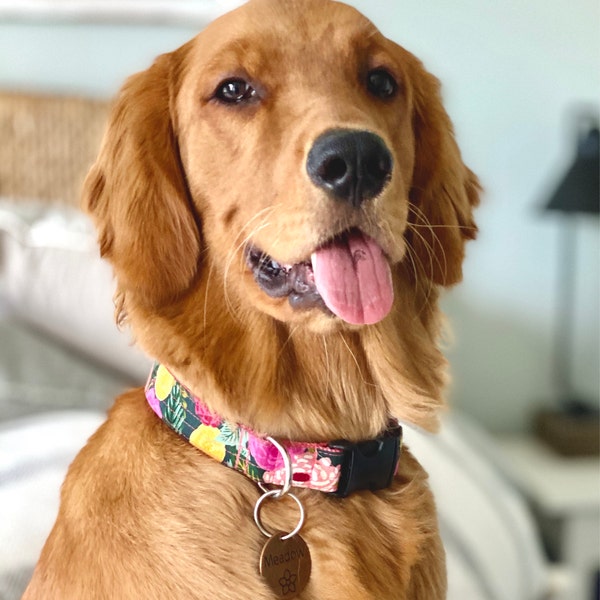 Rifle Paper Co Print Dog Collars - 9 Cute Floral Trendy Patterns- No ...