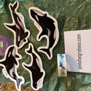 Shark Washi Tape, 10 Metres, 1.5cm, Stationary, Planner - Etsy