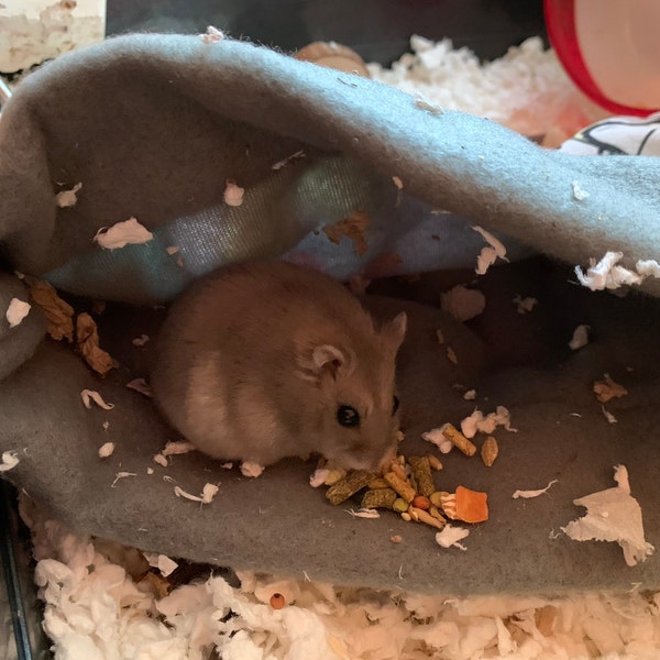 Rat Fall Breaker - Etsy