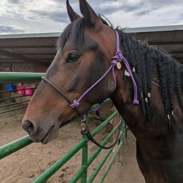 Rope Headstall - Etsy