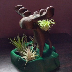 Moose Air Plant Holder and Succulent Planter, Cute Moose, Animal ...