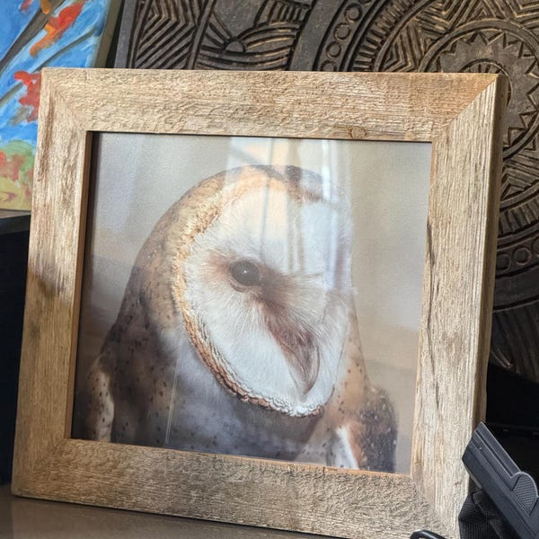 Barnwood Picture Frame - Homestead Narrow 1.5 Inch Flat Rustic ...