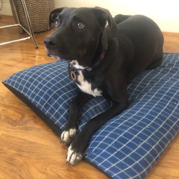 Boho Navy Dog Collar - Adjustable Dog Collar Tribal Dog Collar Dog ...