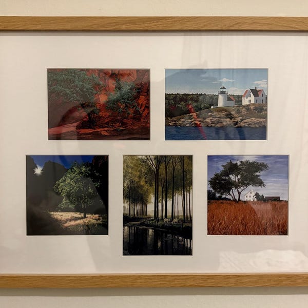 Your Picture Mat Sizes - Fully Custom Matting -ARCHIVAL - SINGLE, Any ...