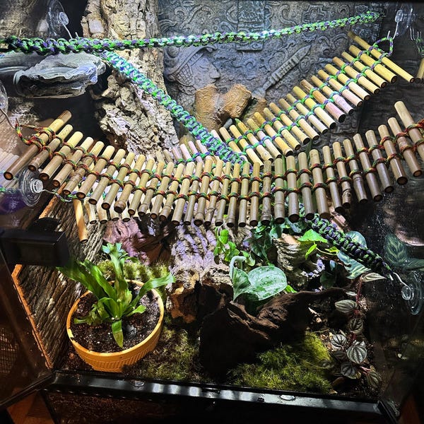 Bamboo Bridge- 4" Width - (perfect for Crested Geckos, Leopard Geckos ...