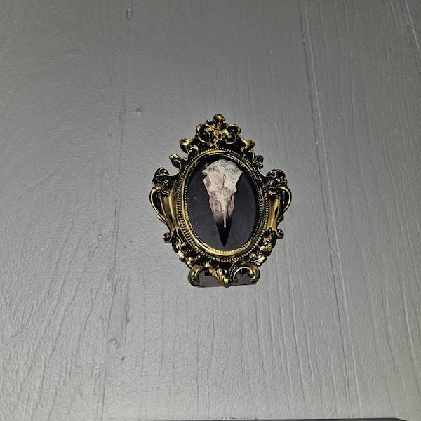 Bird Skull Vintage Style Framed Gothic Decor Altar Spell | Shrine ...