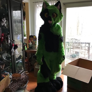 Protogen Furry Reference Sheet/template - Etsy