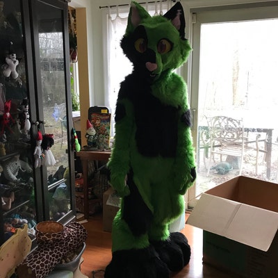 Protogen Furry Reference Sheet/template - Etsy