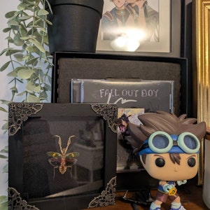 Baroque Gothic Artwork, Luna Moth Framed, Goth Black Witch Wall Display ...