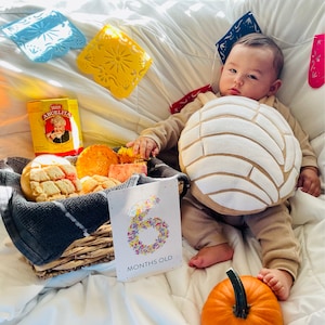 Concha Kids Costume, Concha Pan Costume, Concha Pandulce, Concha Pan ...