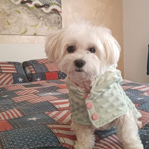 Dog Jacket Sewing Pattern, With Pockets | DIY Dog Coat for Beginners ...