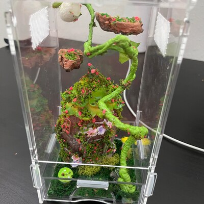 Large Spider Enclosure - Etsy