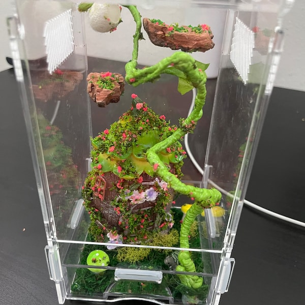 Custom Jumping Spider Enclosure- Read Description - Etsy