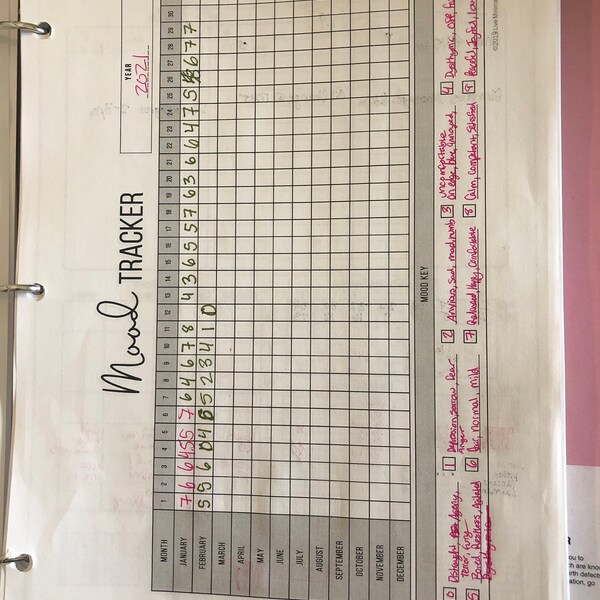 Printable and Fillable Medical Test Log or Lab Results Tracker, Chart ...