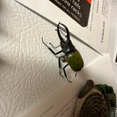 Ladybug, Bug Magnet, Small Size Handmade Clay Magnet Insect Figurine ...