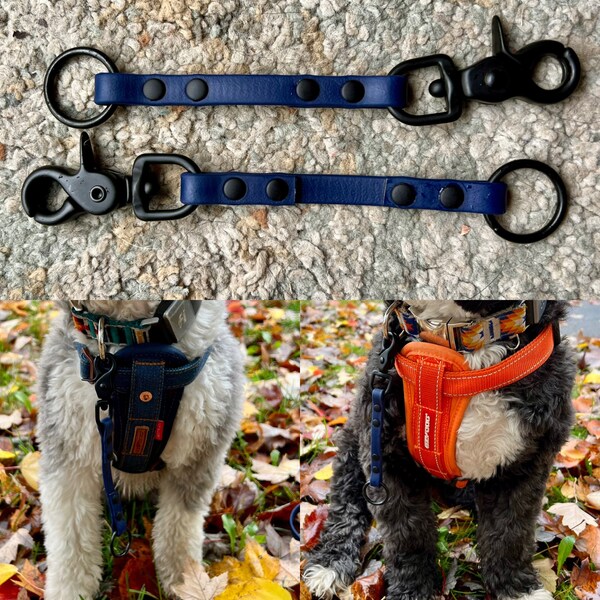 Custom Biothane Training Tab - Etsy